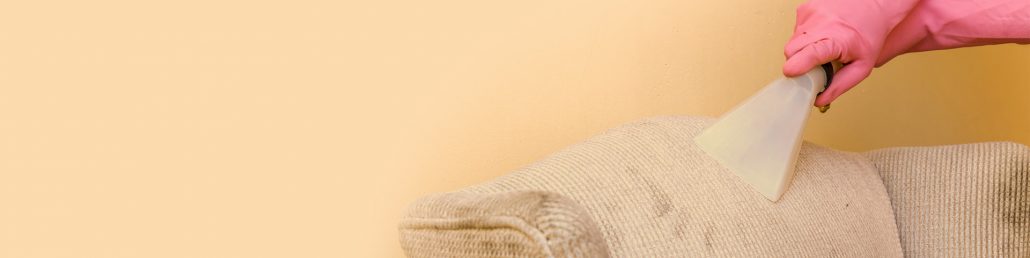 The Clean Edge Cleaning Services - Needham, MA