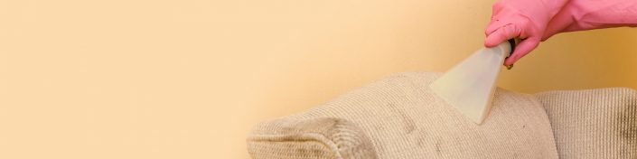 The Clean Edge Cleaning Services - Needham, MA