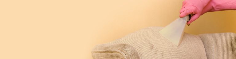 The Clean Edge Cleaning Services - Needham, MA